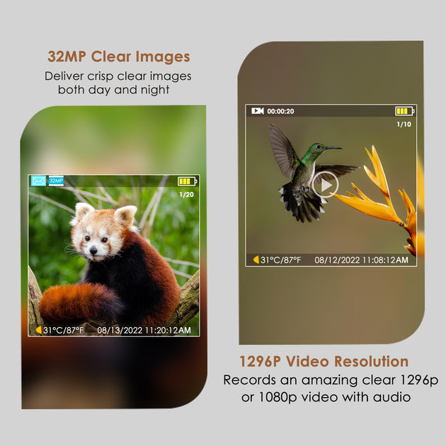 4G LTE Fototrappola 32MP 1296P 120° Rilevamento