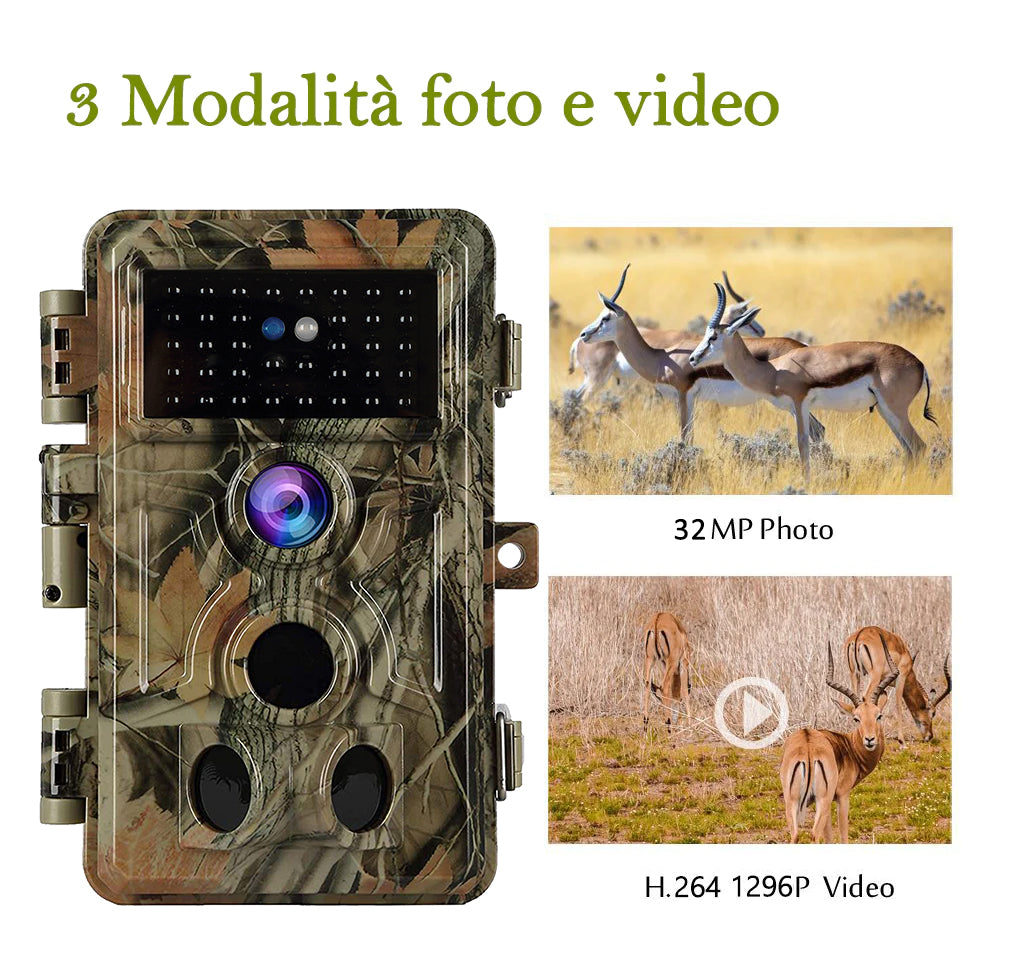 BlazeVideo Fototrappole Professionali -Guarda Ambiente:Natura e Caccia